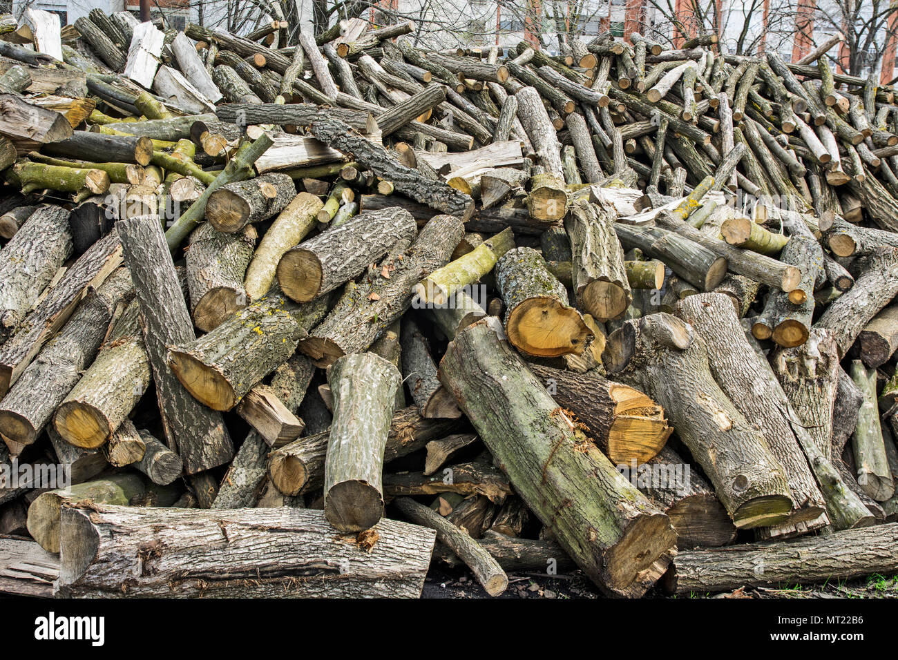 Wood at the depot, cut the log and ready for sale Stock Photo - Alamy