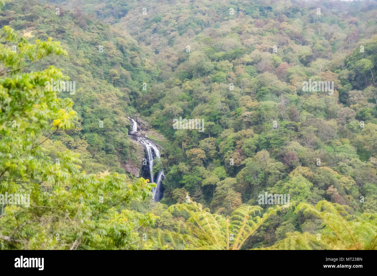 Waterfall in Ella in Sri Lanka Stock Photo - Alamy