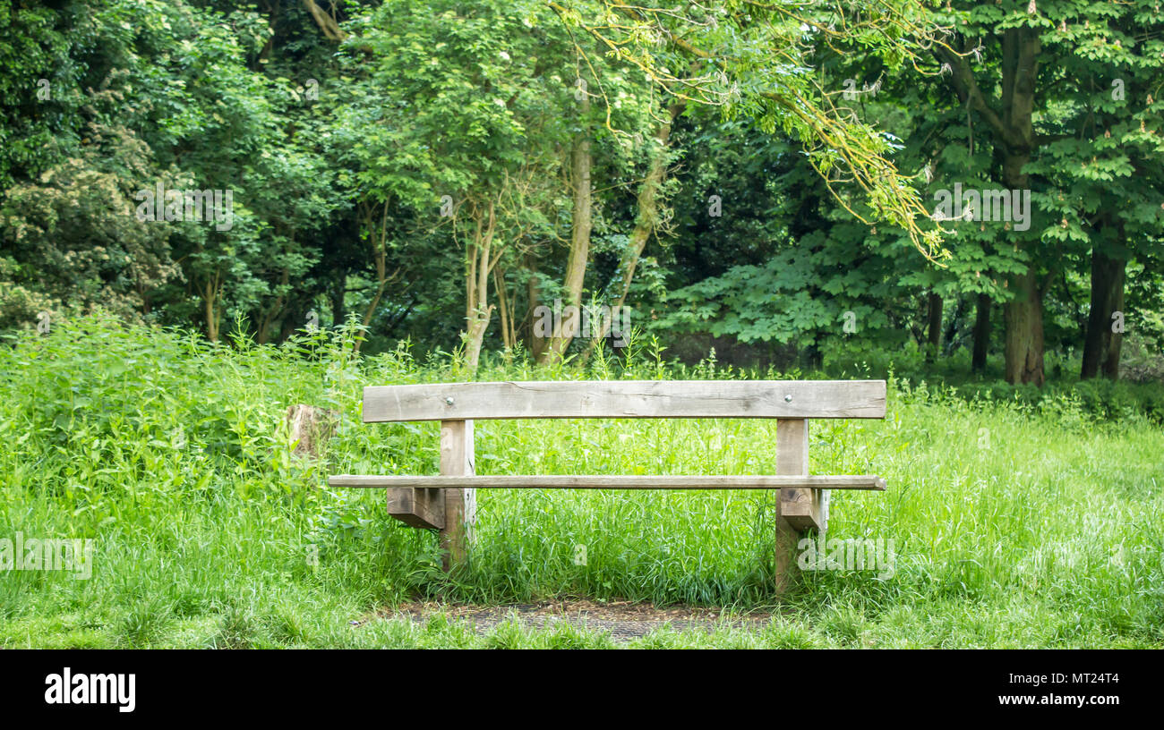 Bench in a natural woodlands forest in Late Spring Stock Photo - Alamy