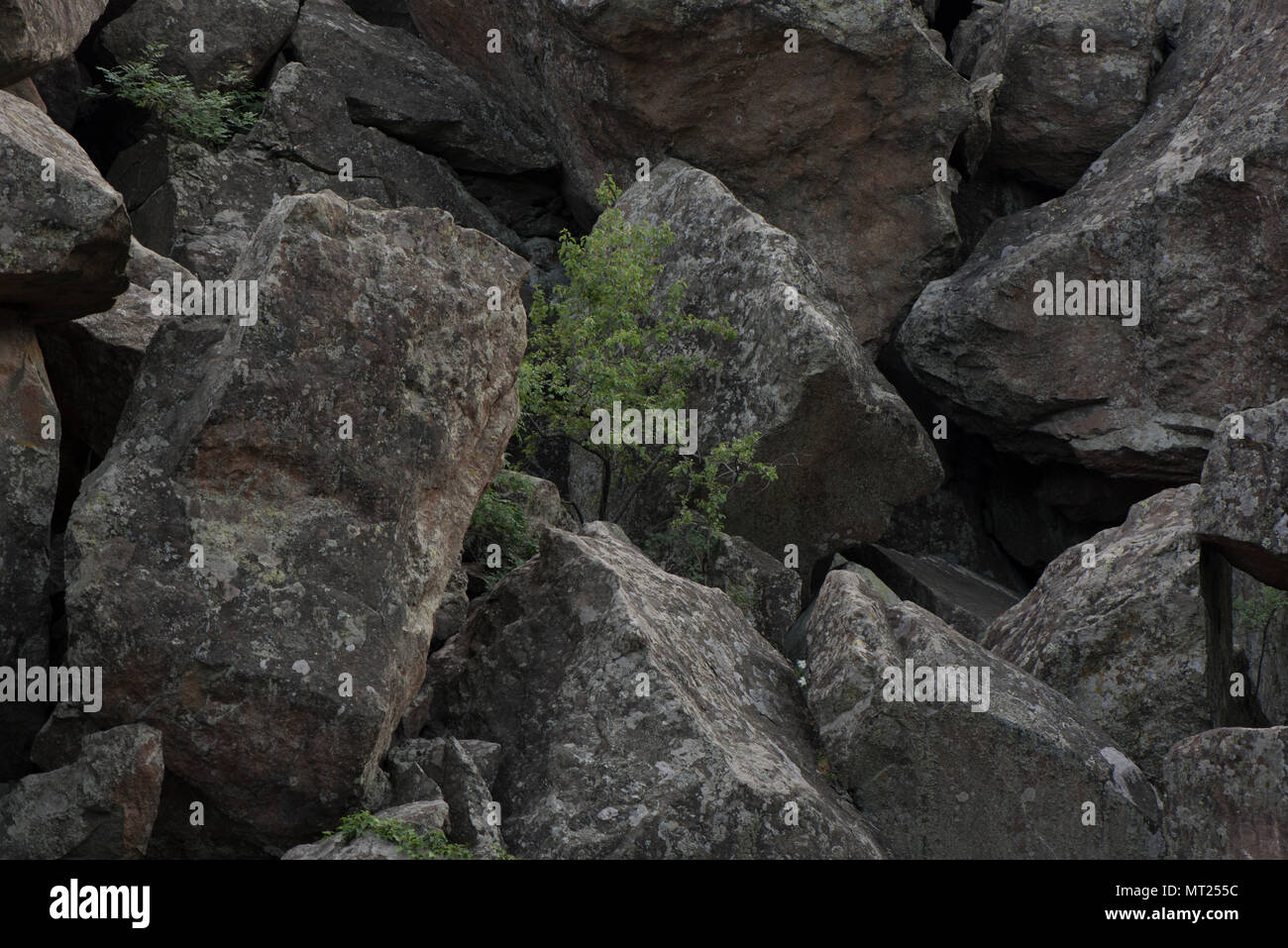 Stonelandscape hi-res stock photography and images - Alamy