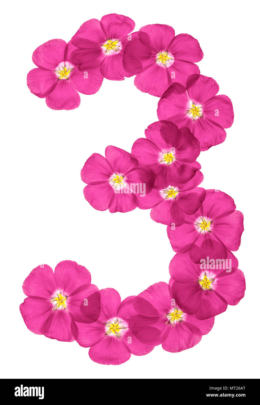 Arabic numeral 3, three, from pink flowers of flax, isolated on white ...