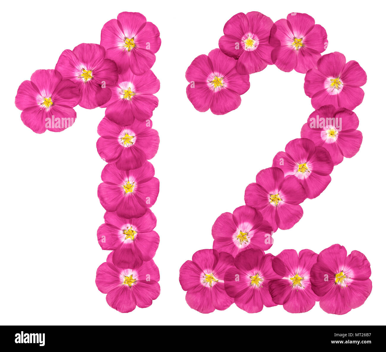 Arabic numeral 12, twelve, from pink flowers of flax, isolated on white ...