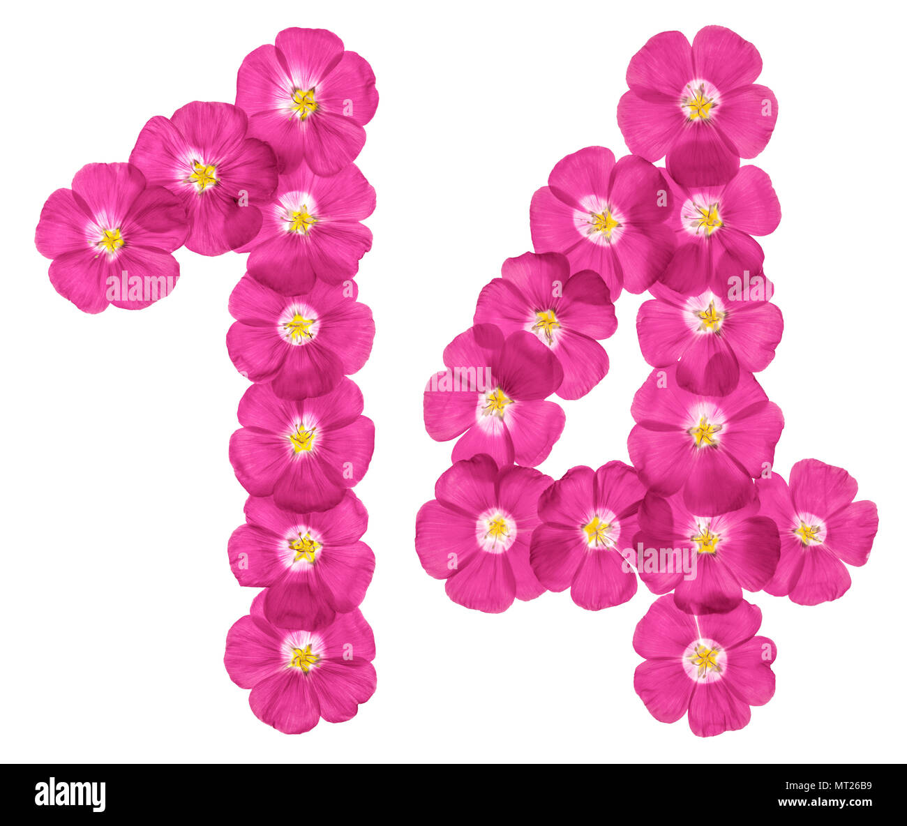 Arabic numeral 14, fourteen, from pink flowers of flax, isolated on ...