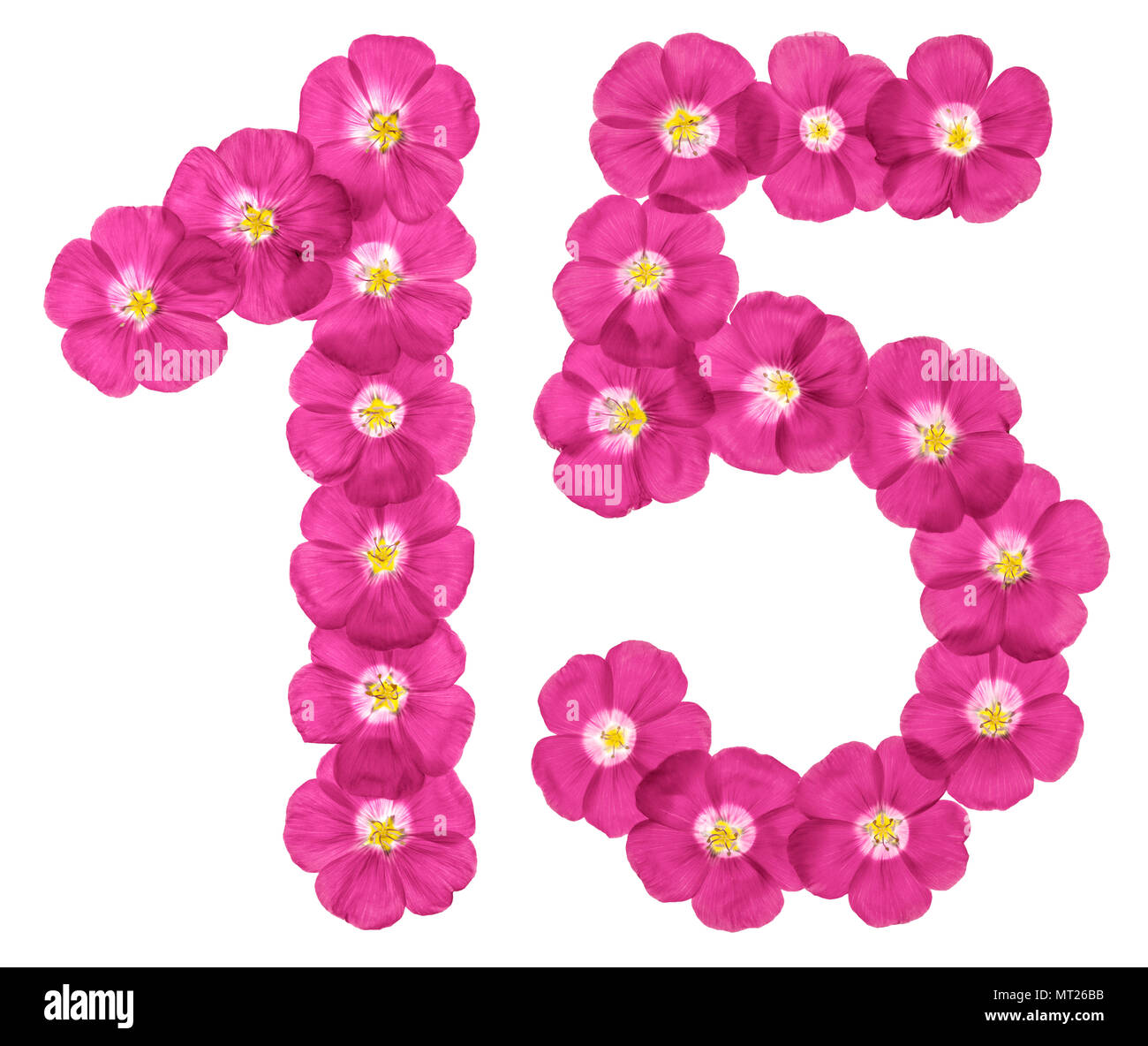 Arabic numeral 15, fifteen, from pink flowers of flax, isolated on ...