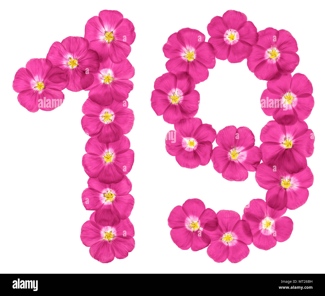 Arabic numeral 19, nineteen, from pink flowers of flax, isolated on ...