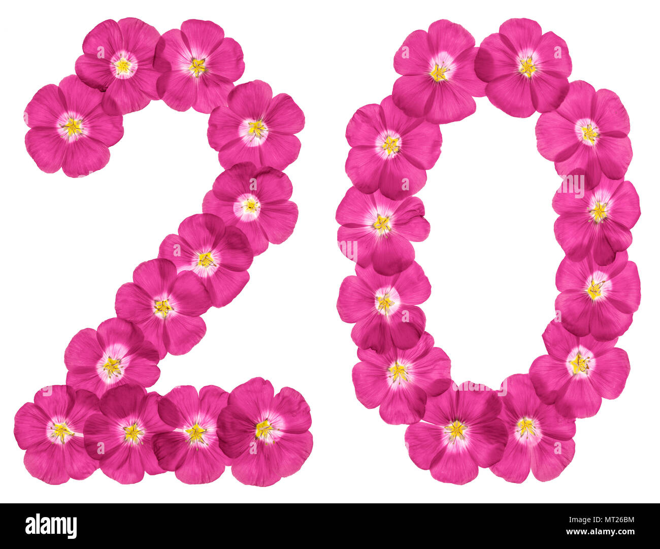 Arabic numeral 20, twenty, two, from pink flowers of flax, isolated on ... Arabic numeral 20, twenty, two, from pink flowers of flax, isolated on ...