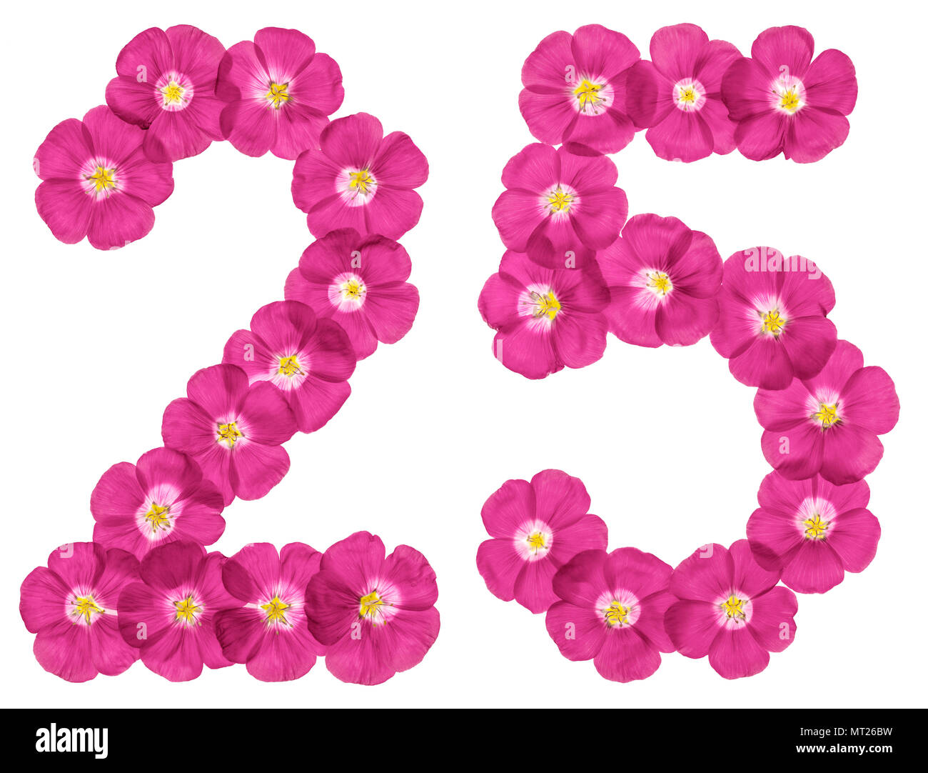 Arabic numeral 25, twenty five, from pink flowers of flax, isolated on ...