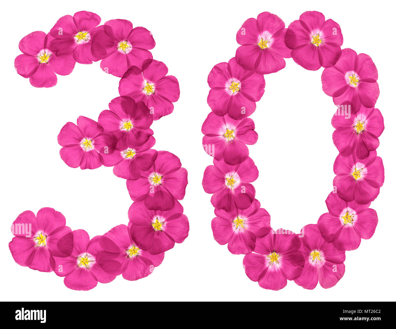 Arabic numeral 30, thirty, from pink flowers of flax, isolated on white ...