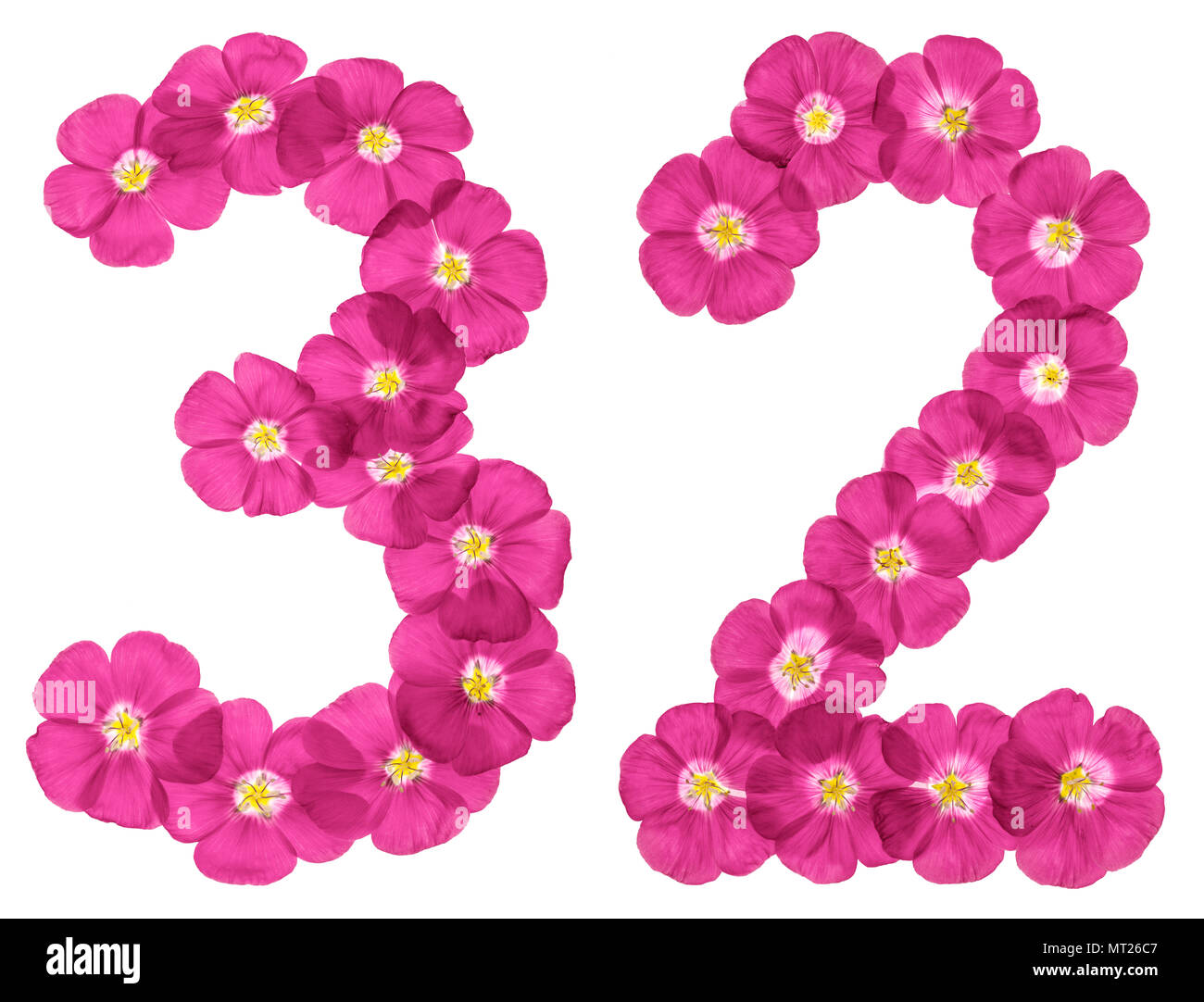 Arabic numeral 32, thirty two, from pink flowers of flax, isolated on ...
