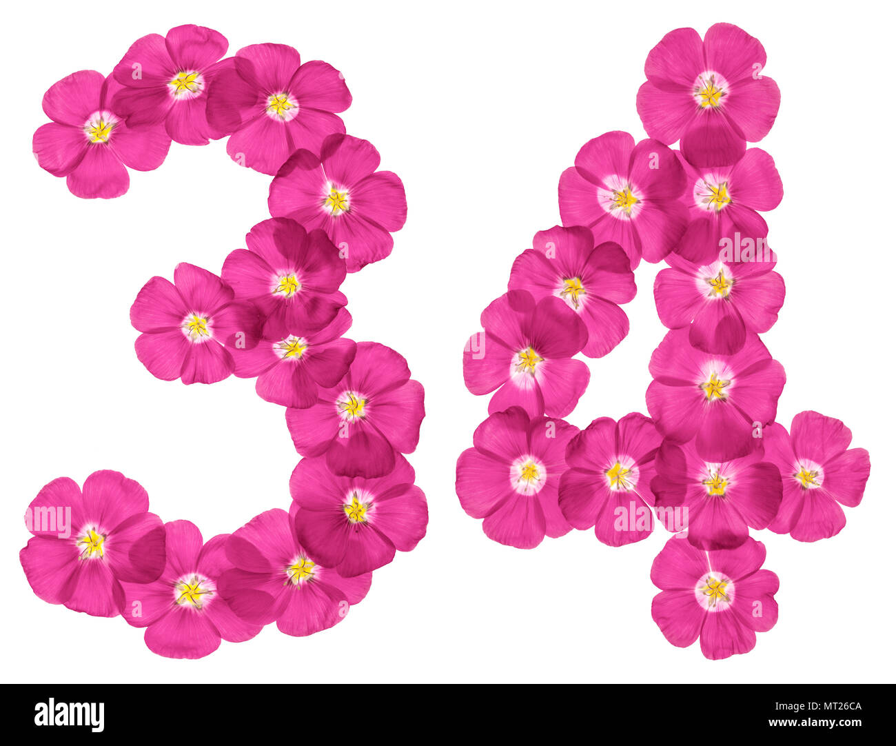 Arabic numeral 34, thirty four, from pink flowers of flax, isolated on ...