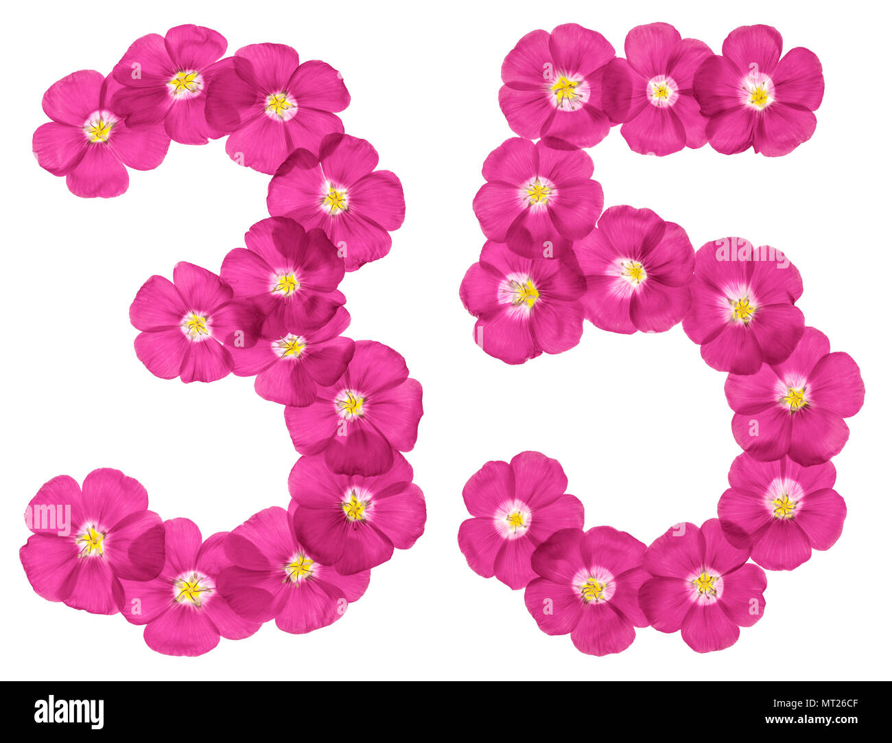 Arabic numeral 35, thirty five, from pink flowers of flax, isolated on ...