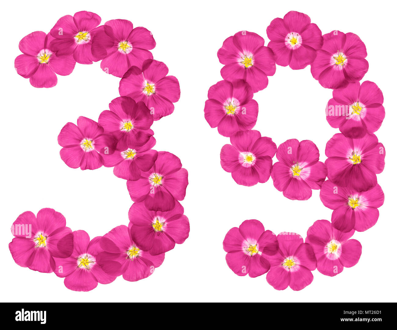 Arabic numeral 39, thirty nine, from pink flowers of flax, isolated on ...