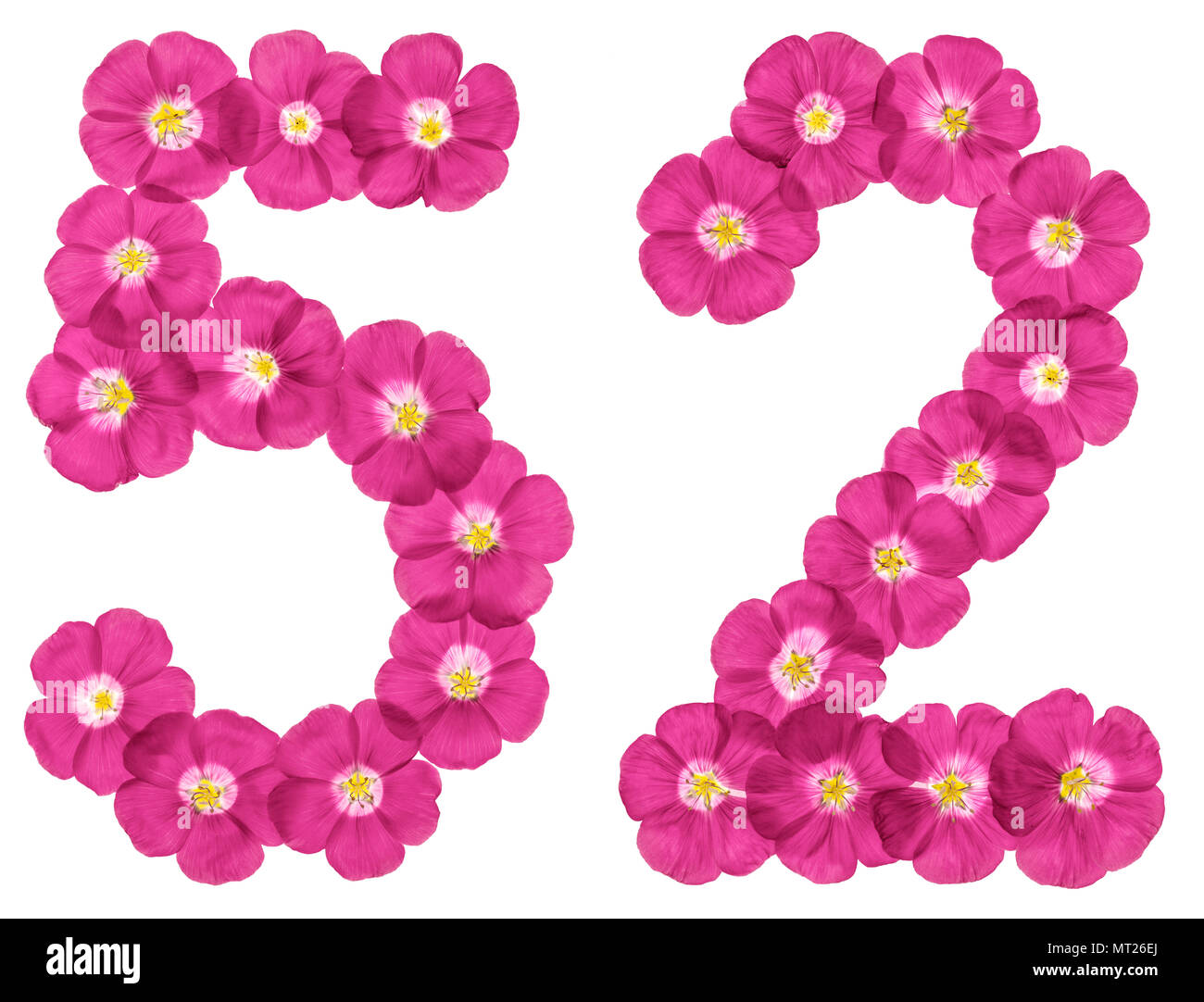 Arabic numeral 52, fifty two, from pink flowers of flax, isolated on ...