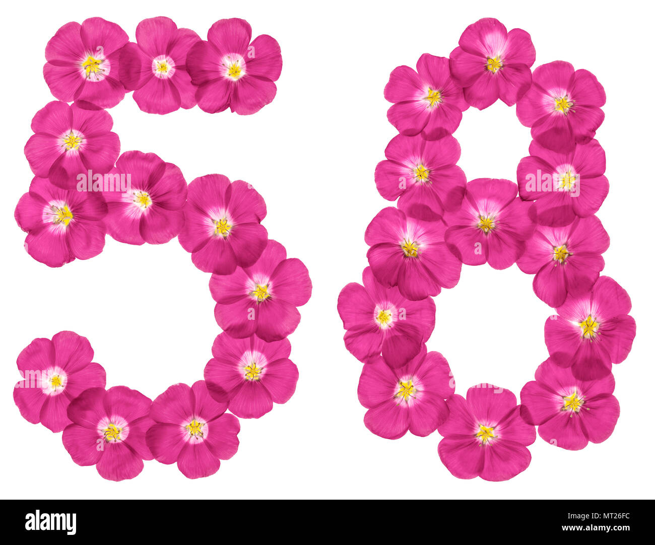 Arabic numeral 58, fifty eight, from pink flowers of flax, isolated on ...
