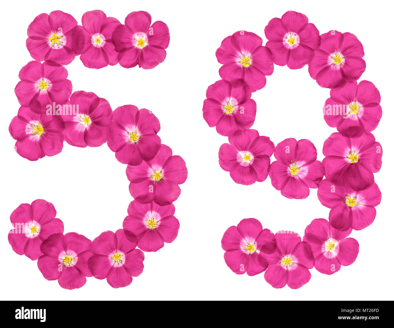 Arabic numeral 59, fifty nine, from pink flowers of flax, isolated on ...