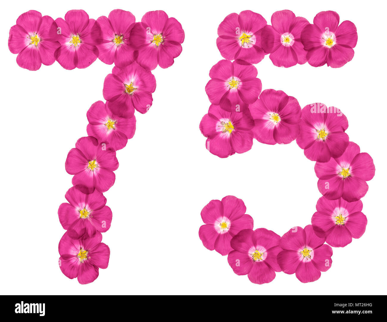 Arabic numeral 75, seventy five, from pink flowers of flax, isolated on ...