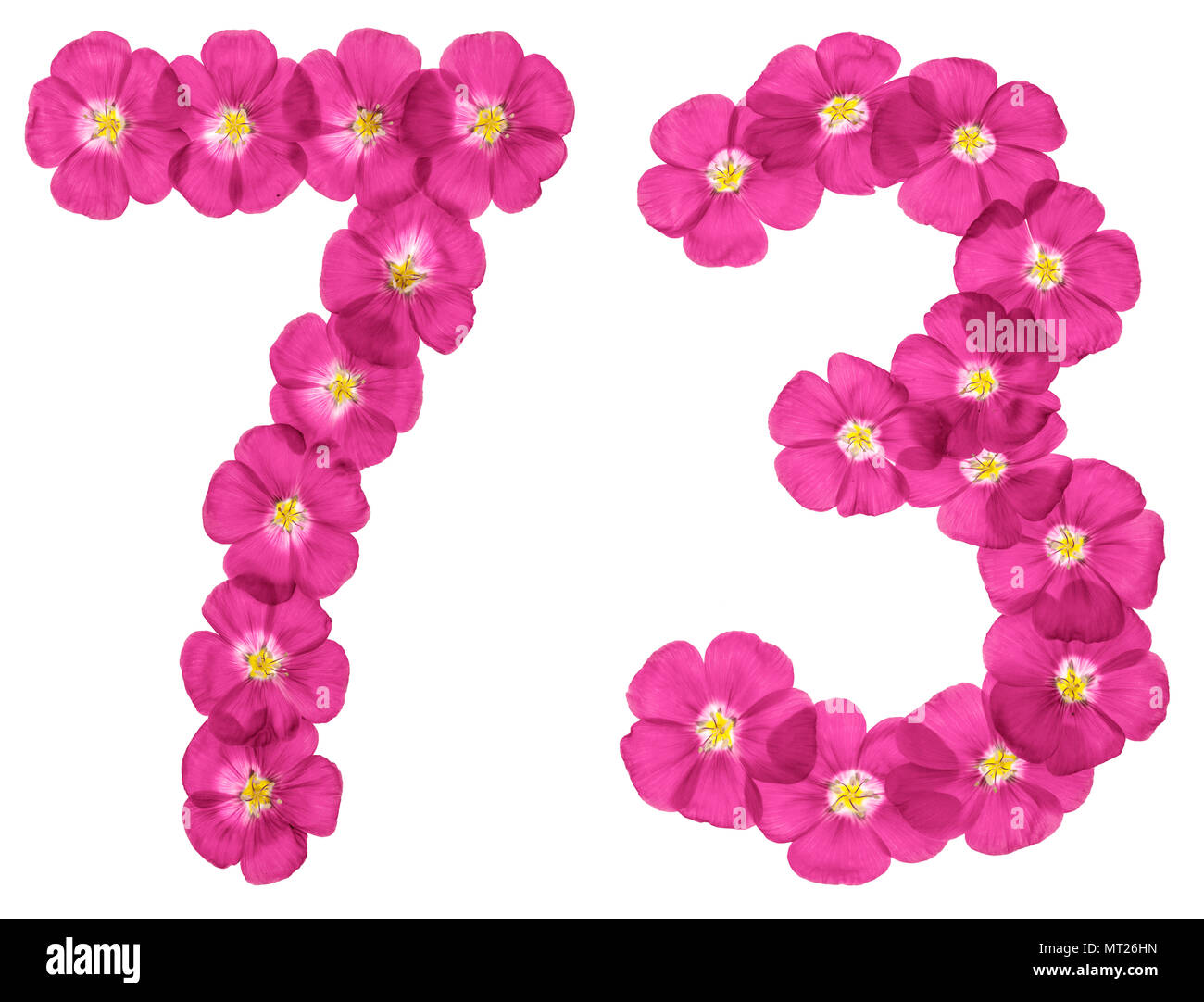 Arabic numeral 73, seventy three, from pink flowers of flax, isolated ...