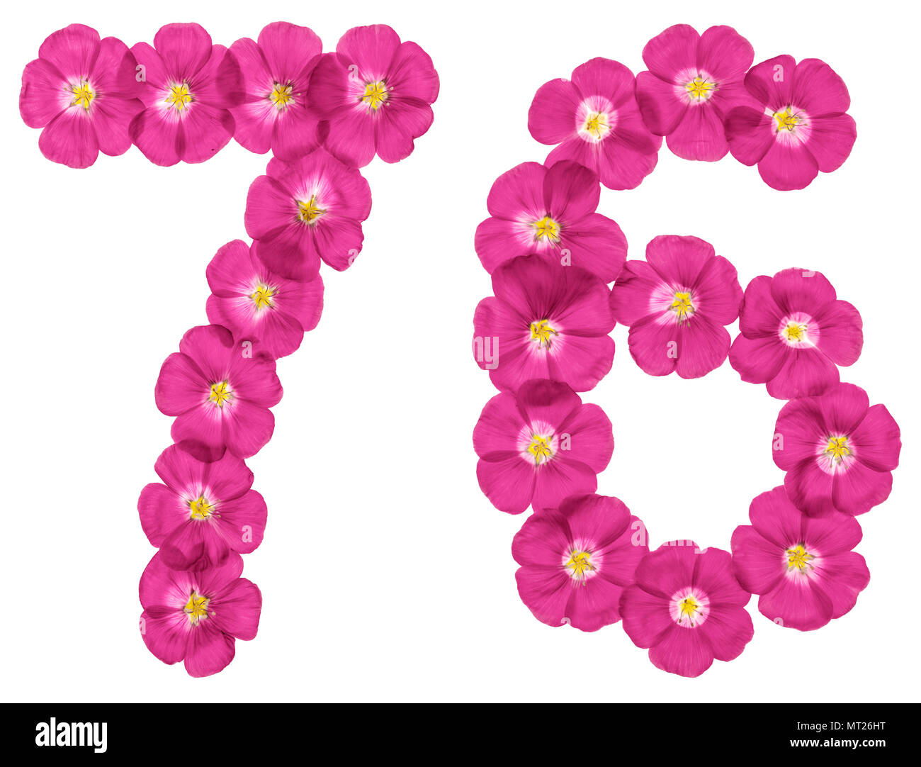 Arabic numeral 76, seventy six, from pink flowers of flax, isolated on ...