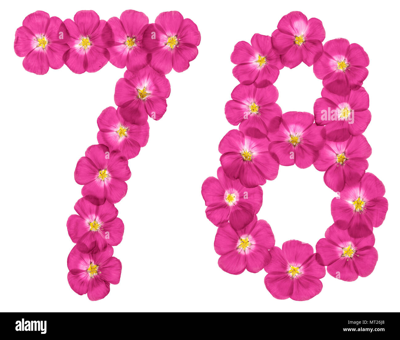 Arabic numeral 78, seventy eight, from pink flowers of flax, isolated ...