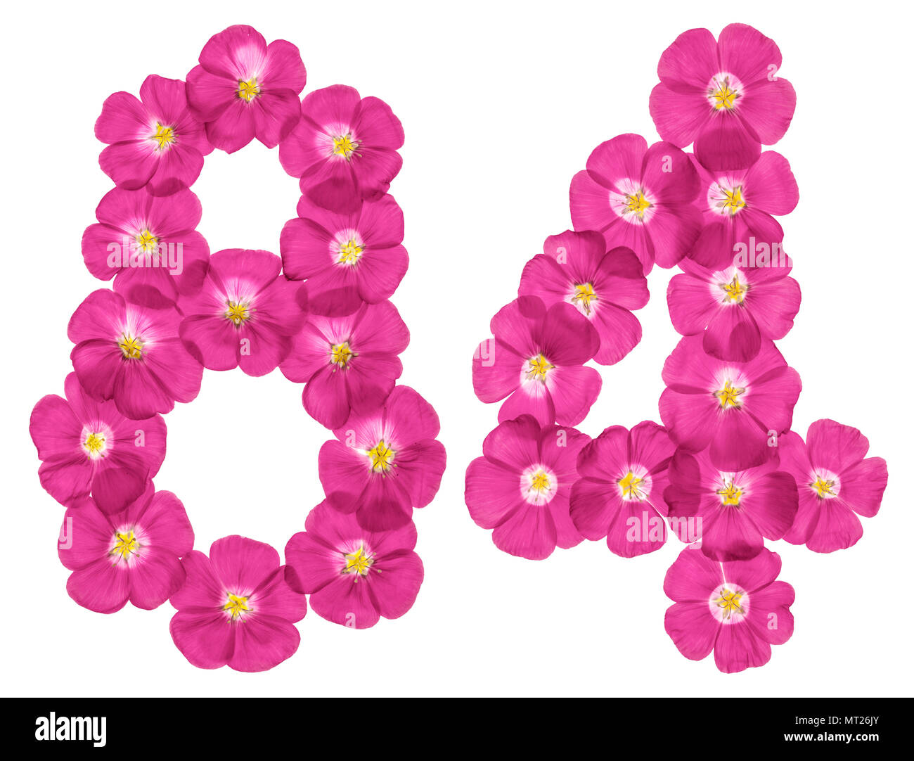 Arabic numeral 84, eighty four, from pink flowers of flax, isolated on ...