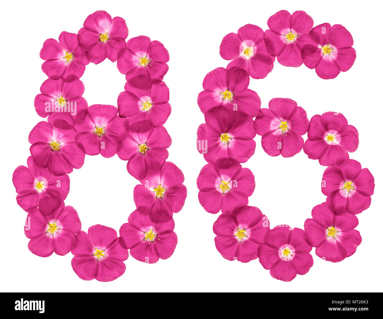 Arabic numeral 86, eighty six, from pink flowers of flax, isolated on ...