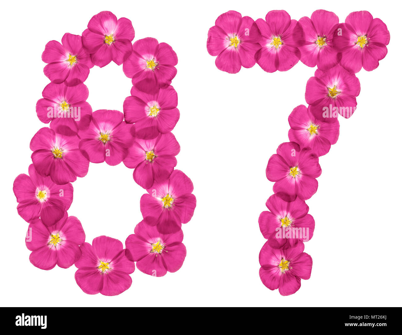 Arabic numeral 87, eighty seven, from pink flowers of flax, isolated on ...