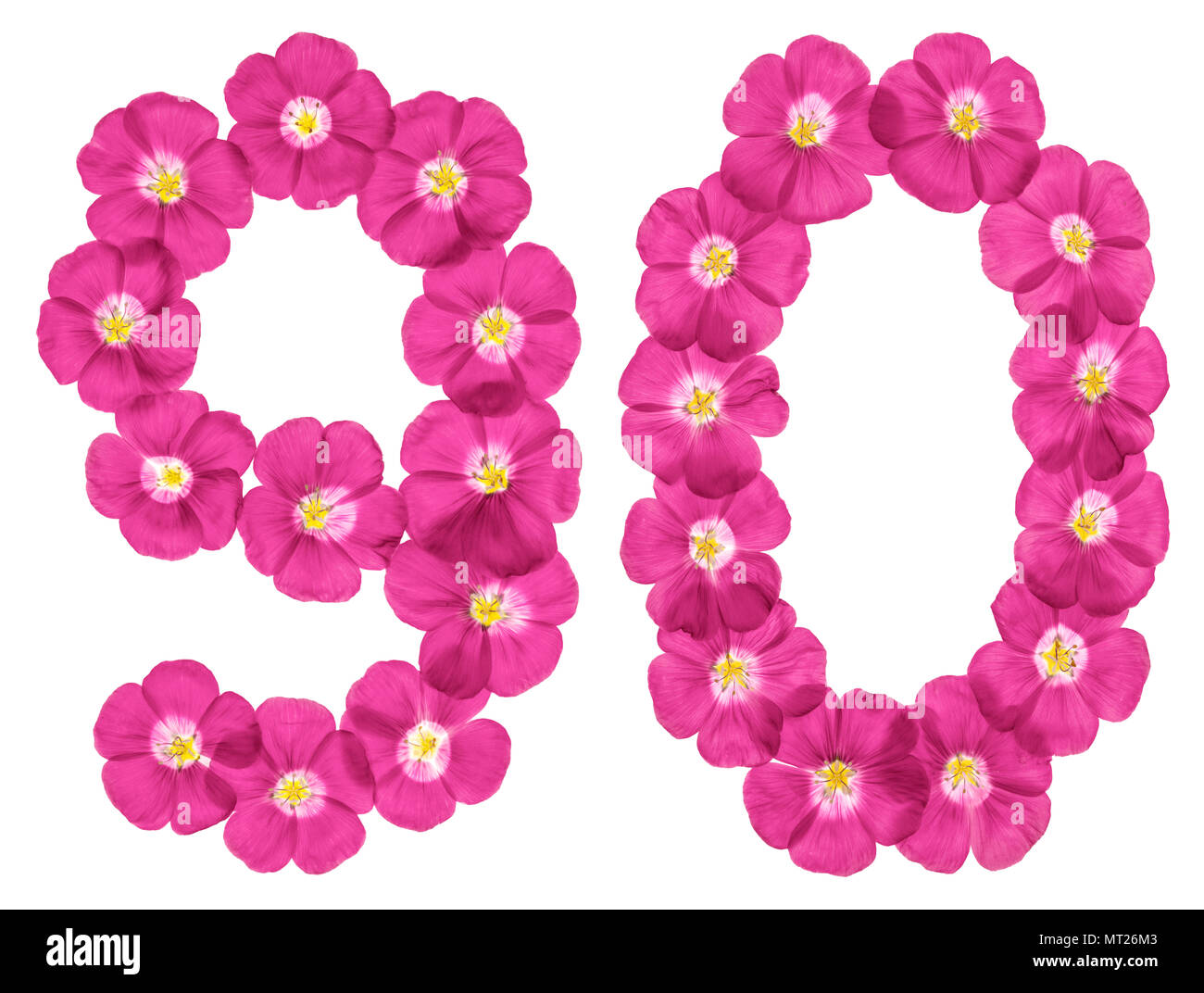 Arabic numeral 90, ninety, from pink flowers of flax, isolated on white ...