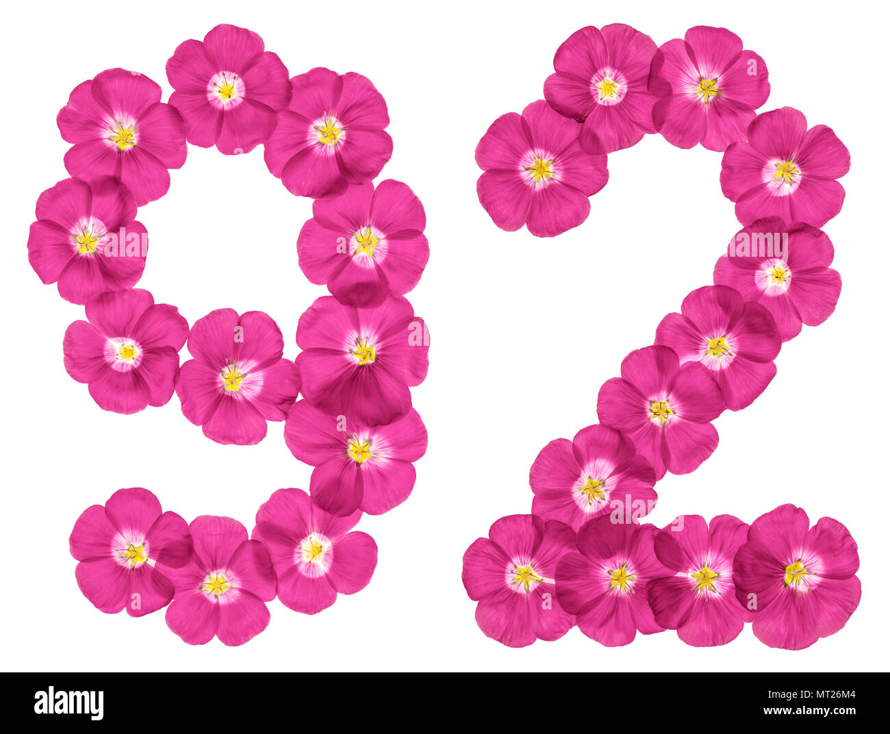 Arabic numeral 92, ninety two, from pink flowers of flax, isolated on ...