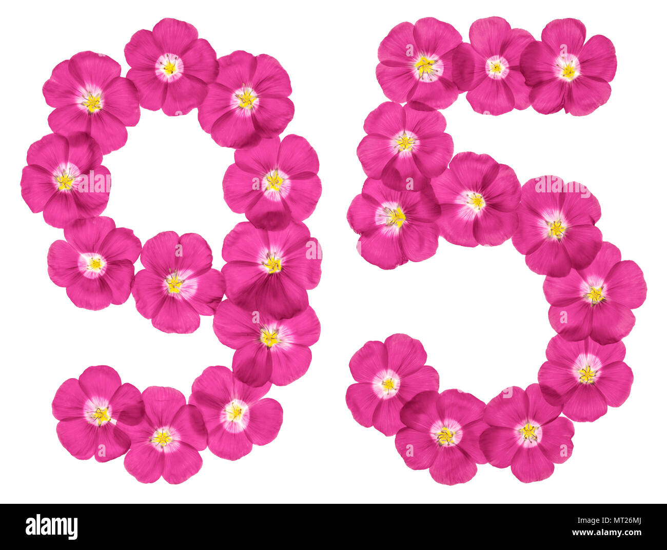 Arabic numeral 95, ninety five, from pink flowers of flax, isolated on ...