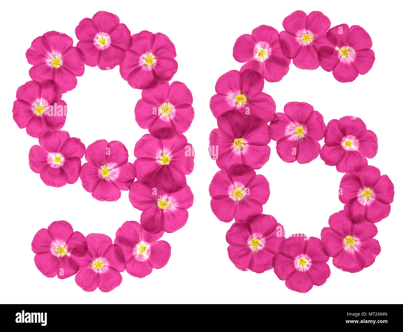Arabic numeral 96, ninety six, from pink flowers of flax, isolated on ...