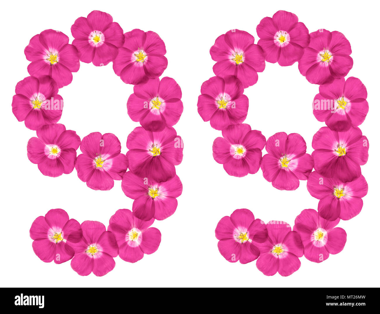 Arabic numeral 99, ninety nine, from pink flowers of flax, isolated on ...