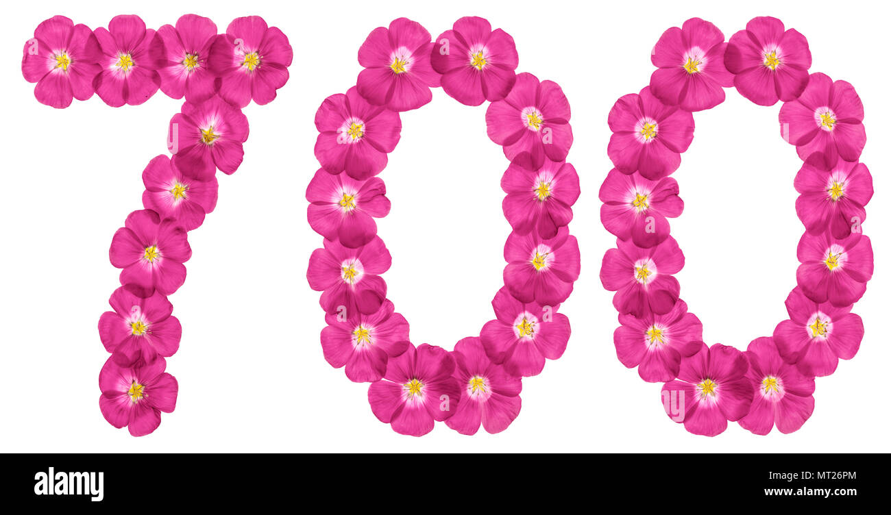 Arabic numeral 700, seven hundred, from pink flowers of flax, isolated ...