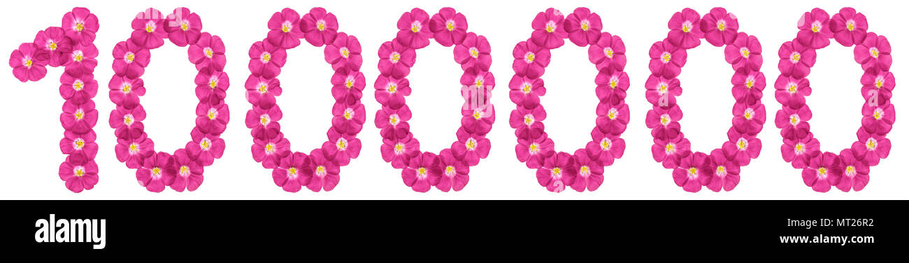Arabic numeral 1000000, one million, from pink flowers of flax ...