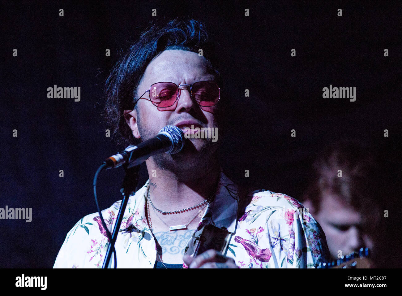 Runts in hi-res stock photography and images - Alamy