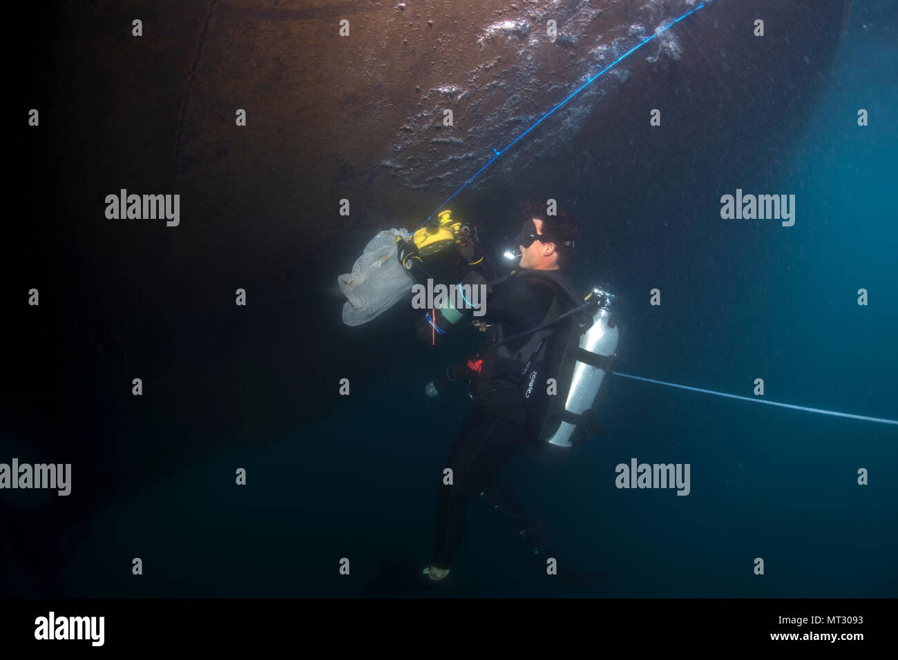 Limpet mine hi-res stock photography and images - Alamy