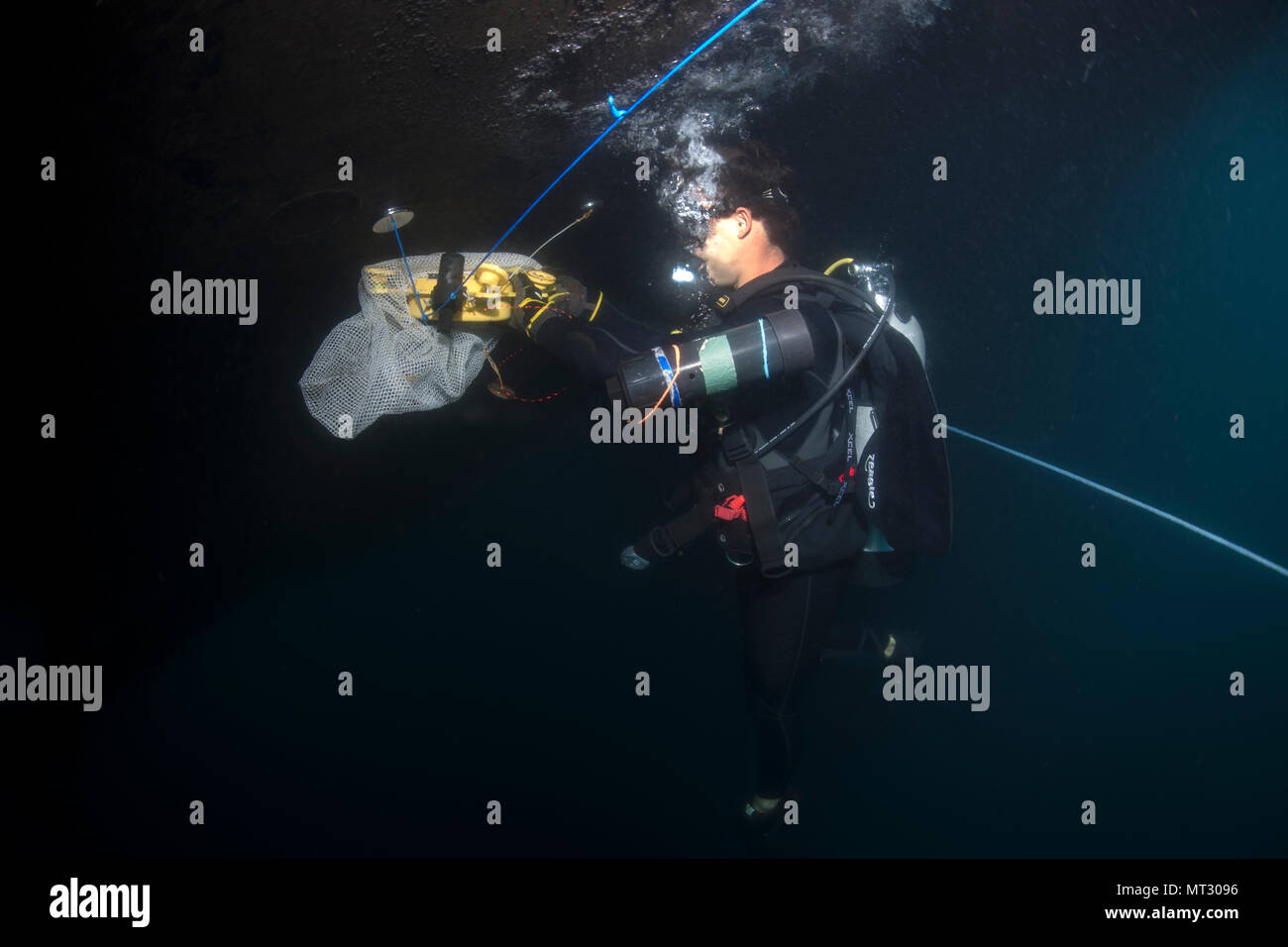 Limpet mine hi-res stock photography and images - Alamy