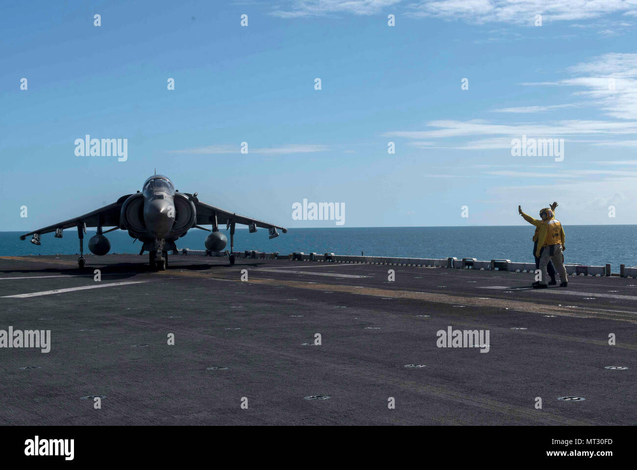 Australian harrier hi-res stock photography and images - Alamy