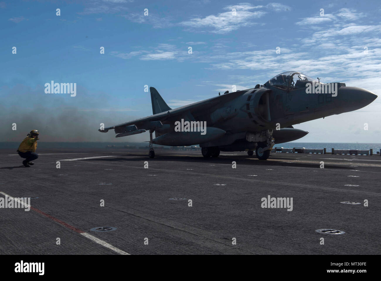 Australian harrier hi-res stock photography and images - Alamy