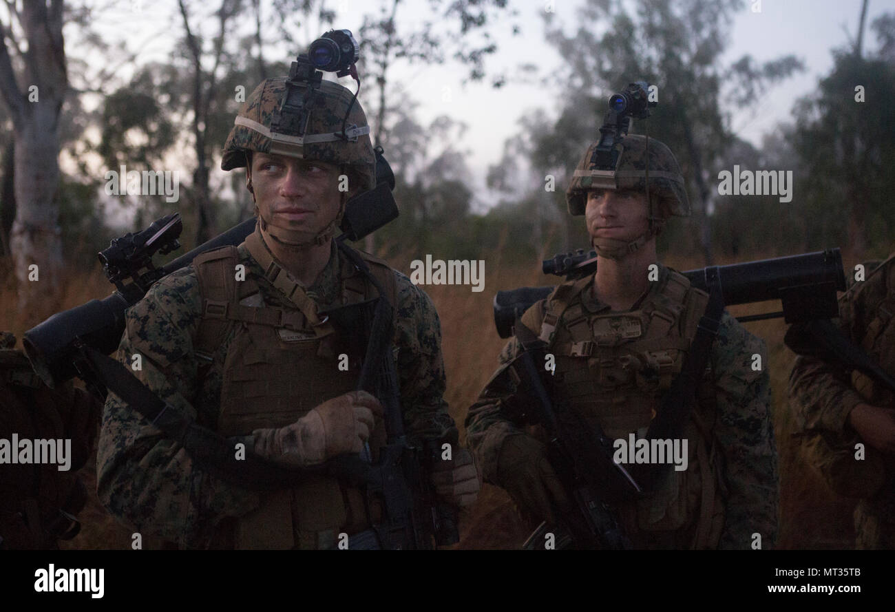 L starling hi-res stock photography and images - Alamy