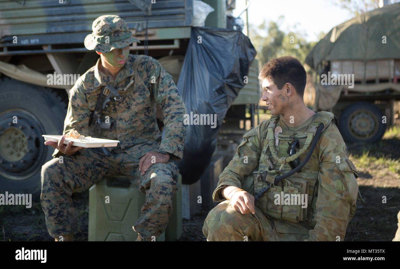 An intelligence specialist from 1st intelligence battalion hi-res stock ...
