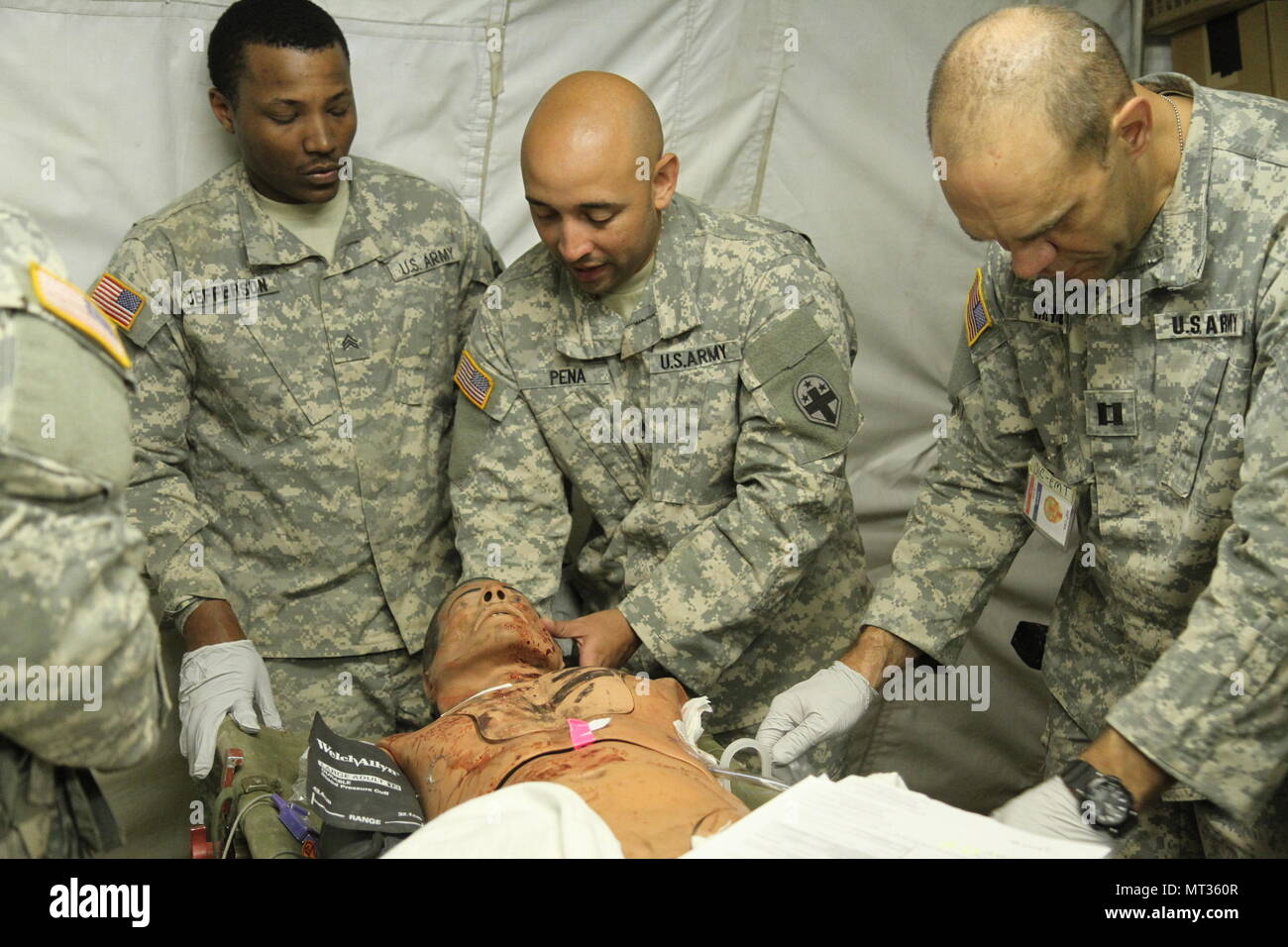 Pluer hi-res stock photography and images - Alamy