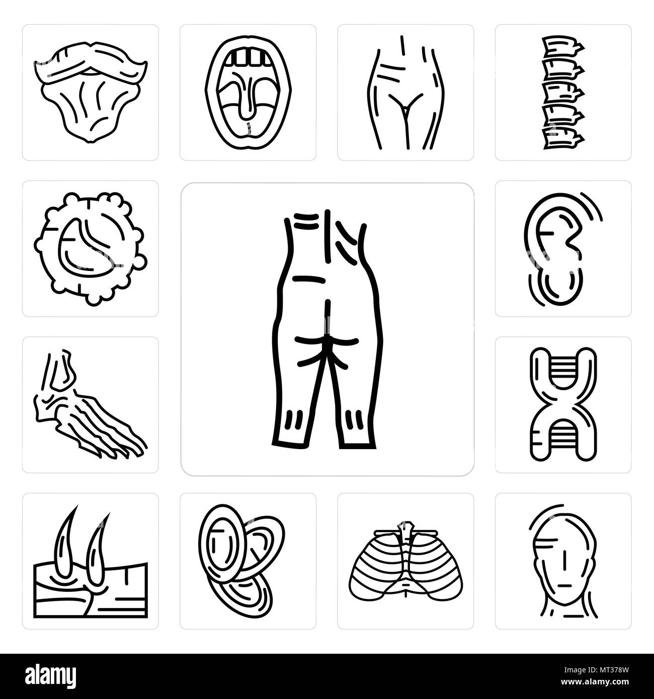 Sequence of dishes Stock Vector Images - Alamy