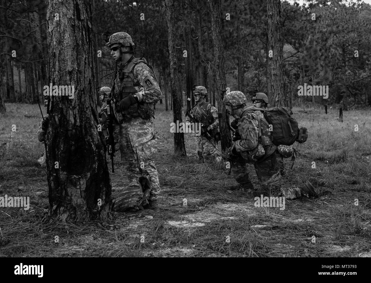 76th Infantry Division High Resolution Stock Photography and Images - Alamy