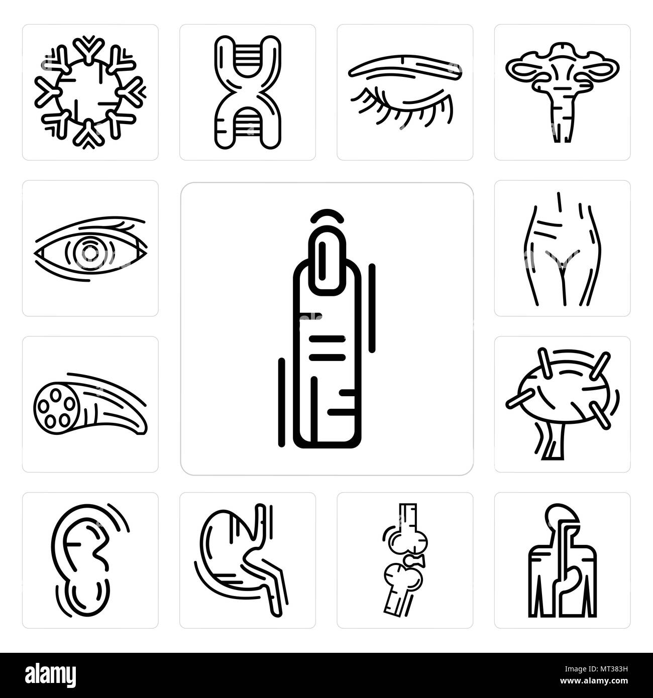Set Of 13 simple editable icons such as Human Finger, Digestive System ...