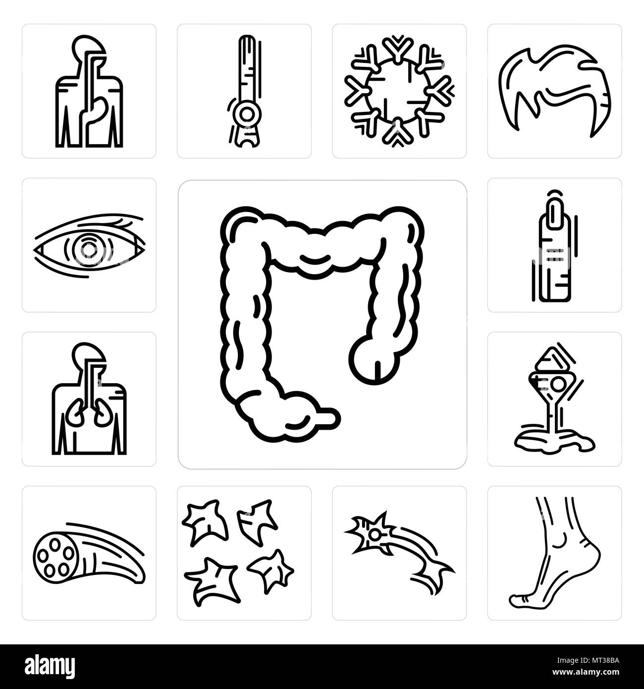 Set Of 13 simple editable icons such as Large Intestine, Human Buttocks ...