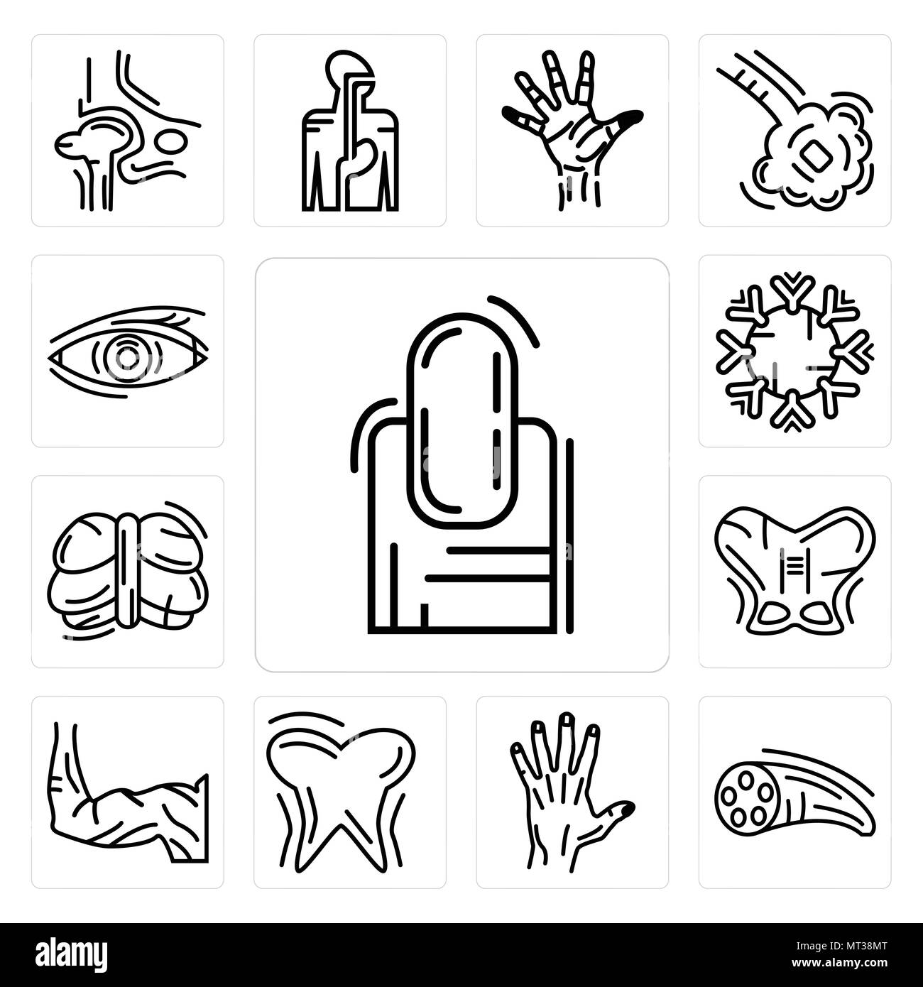 Set Of 13 simple editable icons such as Long Nail, Muscle Fiber, Men ...