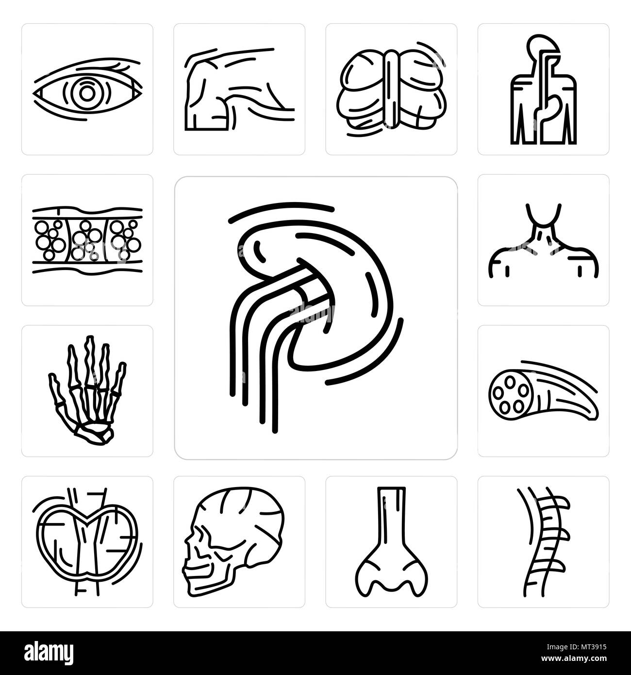 Thyroid surgery illustration anatomy hi-res stock photography and ...