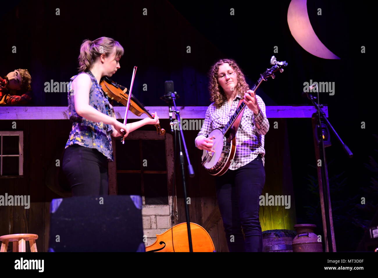 Mile 12 Bluegrass Band Bluegrass in the Forest 2018 Stock Photo - Alamy