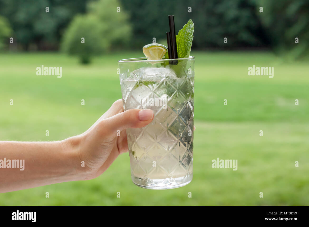 glass of mojito in female hand Stock Photo - Alamy