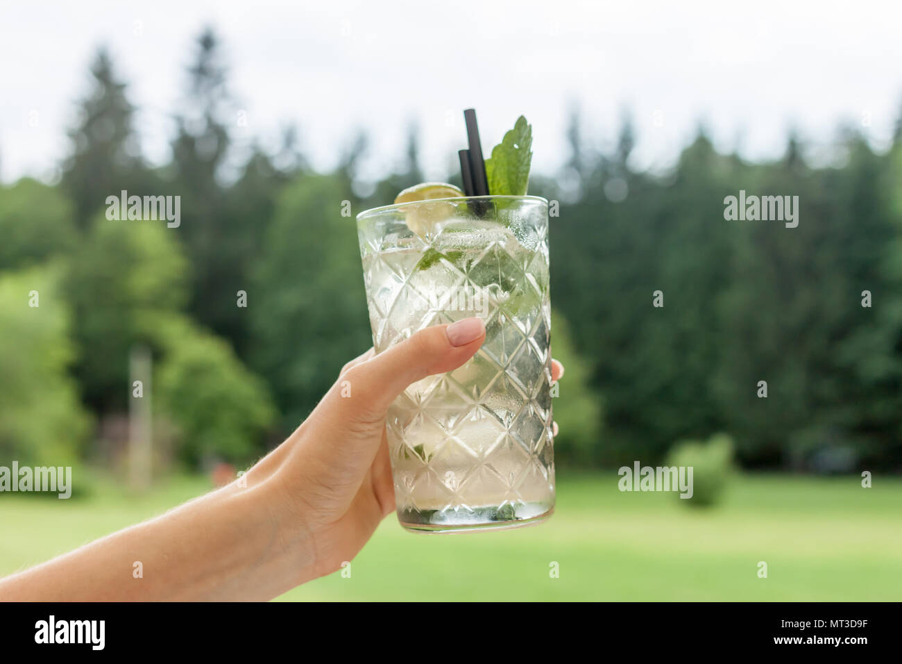 glass of mojito in female hand Stock Photo - Alamy